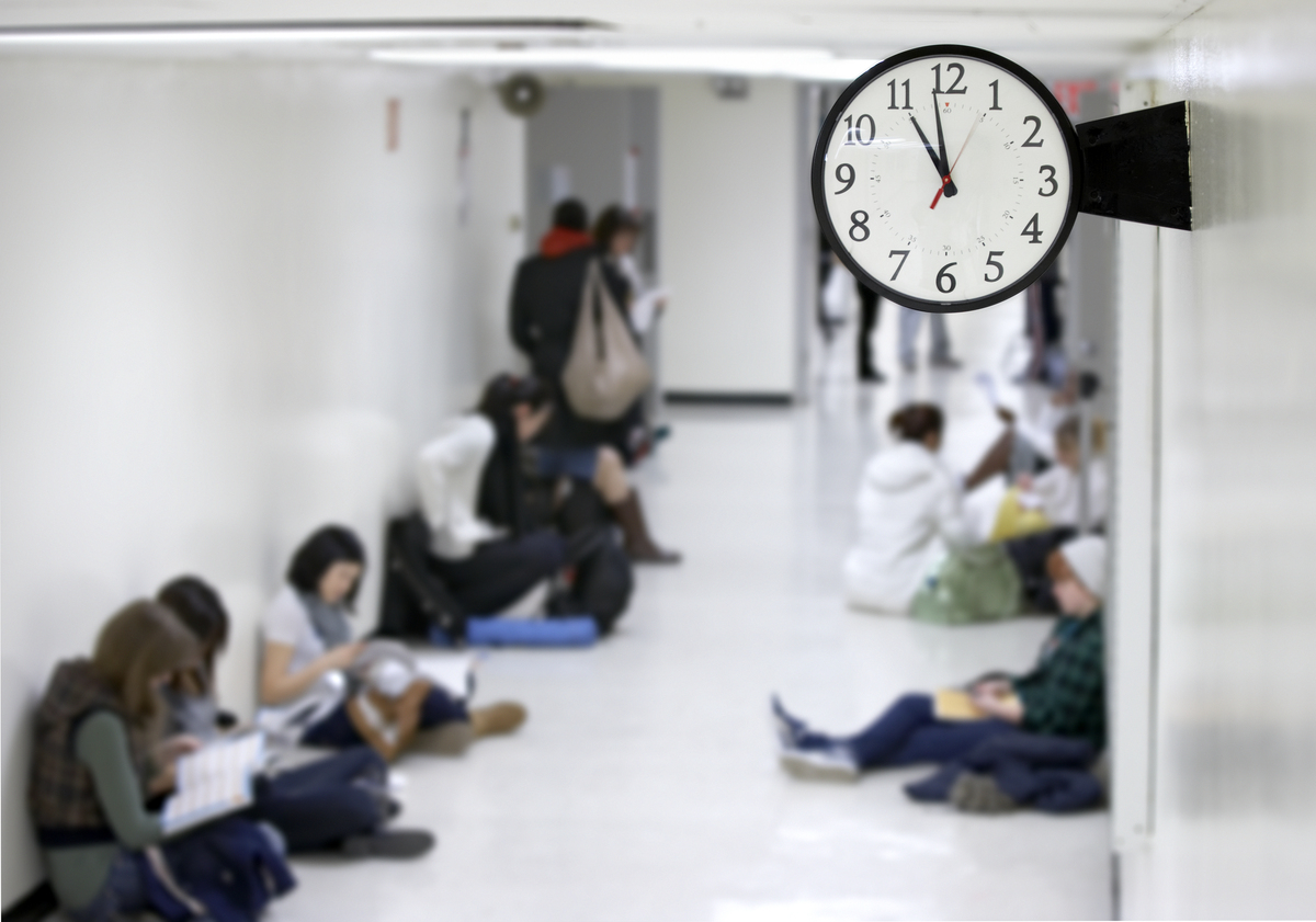 Owl Time Clock - Owl Time Clock